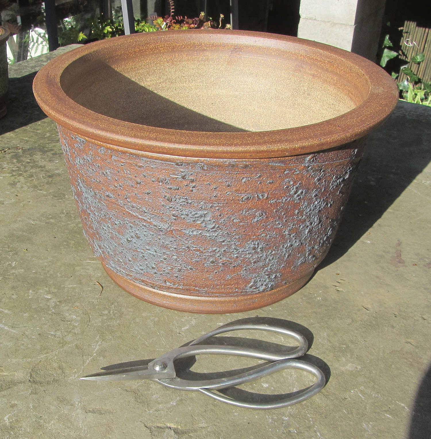 sara-rayner-pot-1a | Bonsai & Yamadori from Tony Tickle